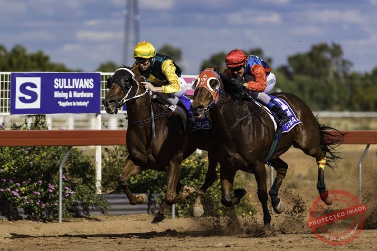 Photo Galleries – The Cobar Weekly