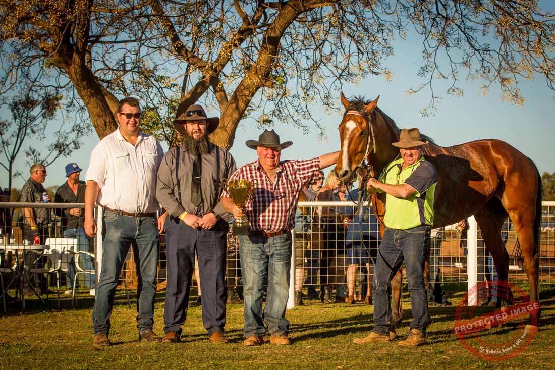 Cooee March takes home the Cobar Picnic Cup – The Cobar Weekly