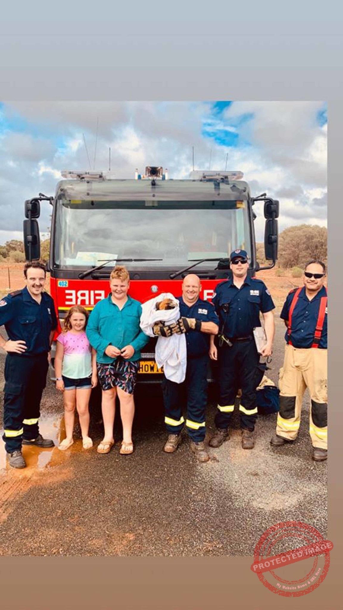 Unique callout as local firies come to the rescue of big bird – The ...