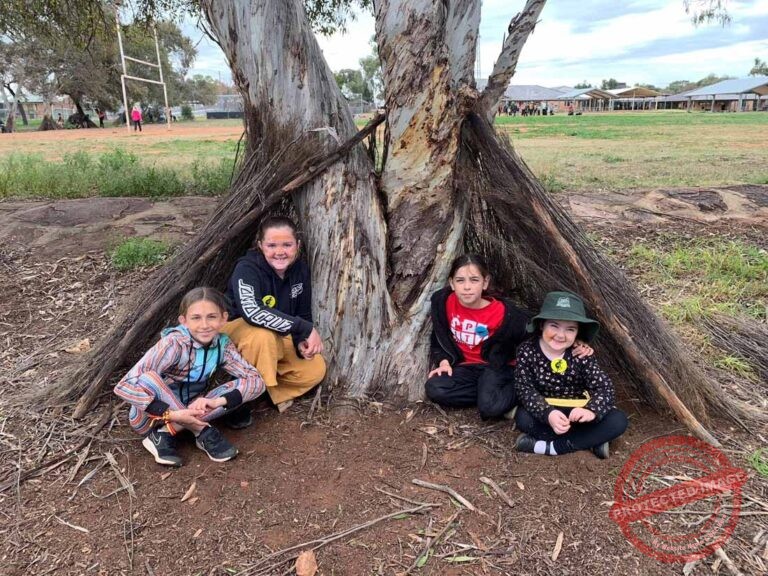 Cobar Public School – The Cobar Weekly