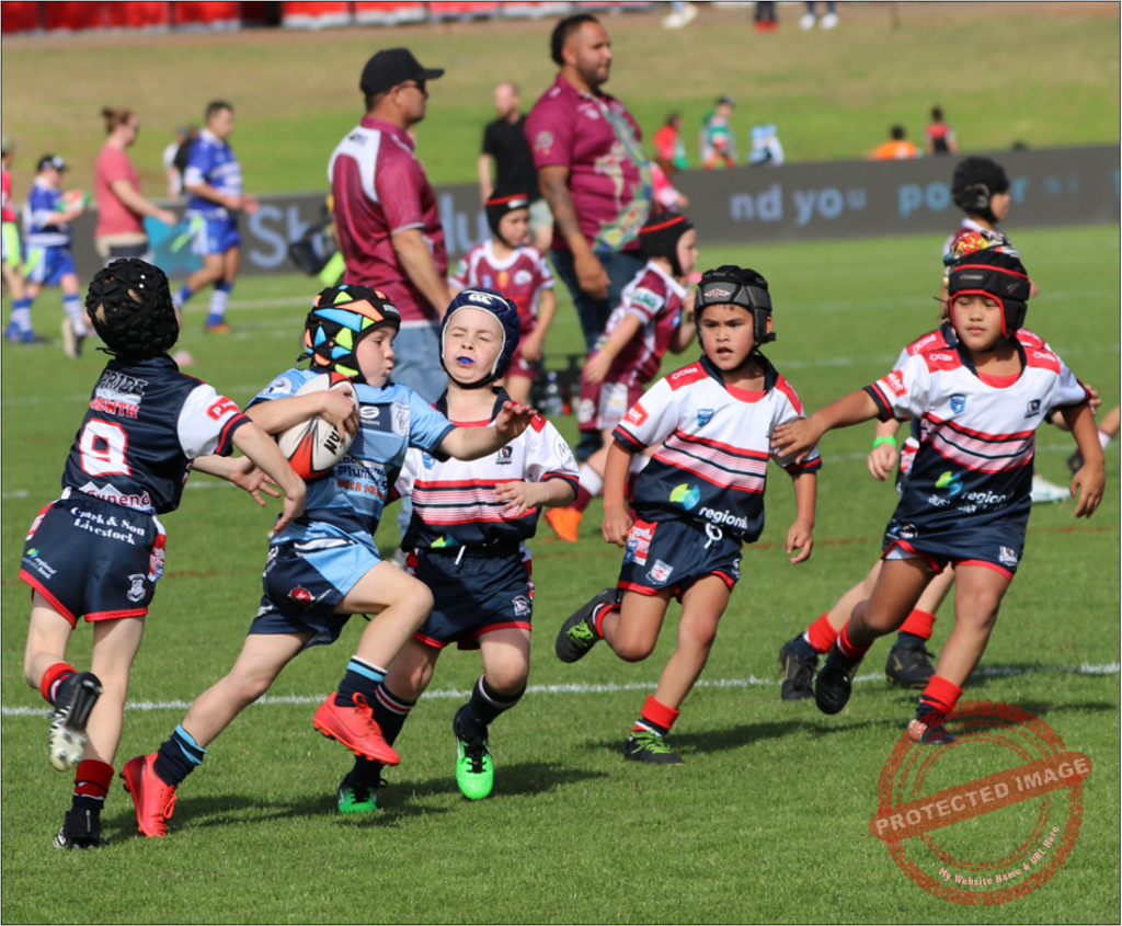 Roosters Minis players take centre stage at NRL game – The Cobar Weekly