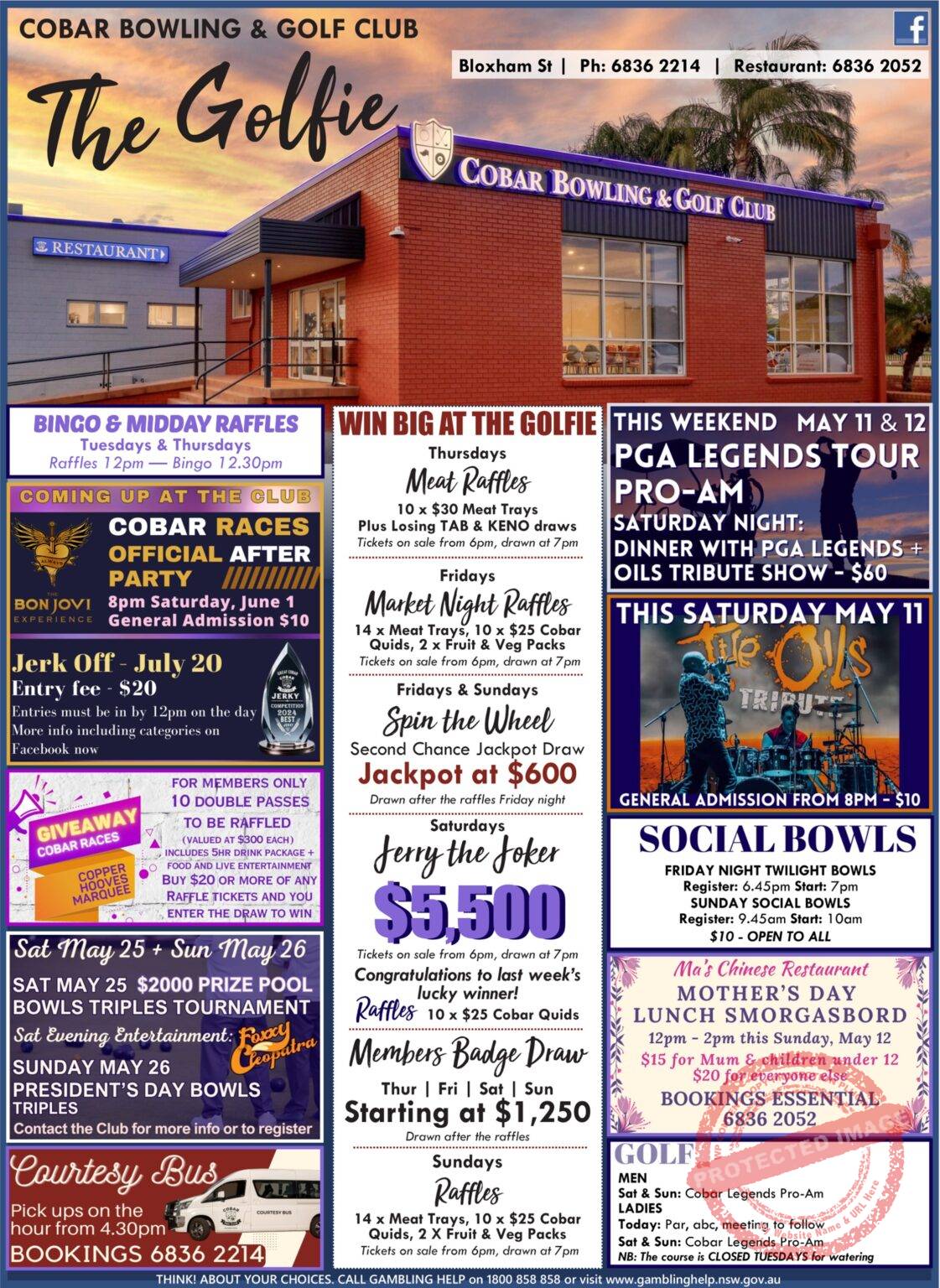 The Golfie – The Cobar Weekly